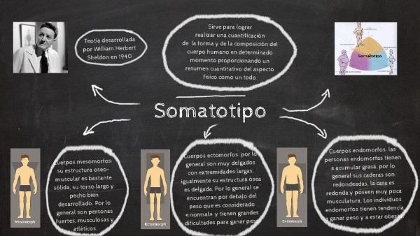 somatotipo