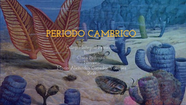 PERIODO CAMBRICO