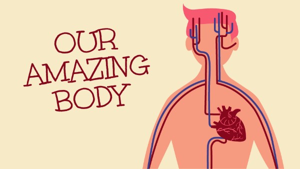 OUR AMAZING BODY