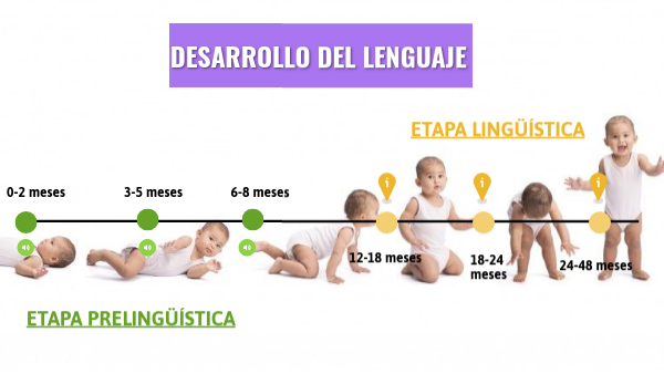 Etapa Lingüística – Las etapas del desarrollo del lenguaje – XMTX