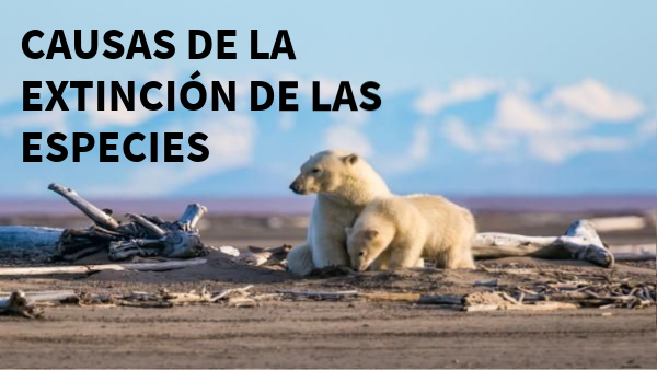 EXTINCIÓN DE LAS ESPECIES