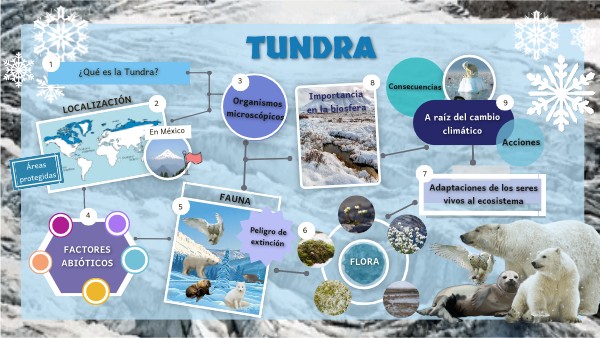 Tundra