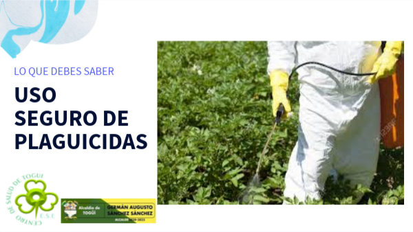 Uso seguro de Plaguicidas