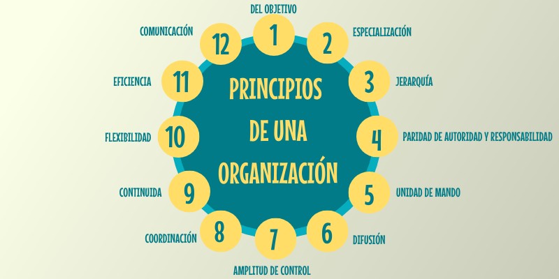 PRINCIPIOS DE UNA ORGANIZACIÓN