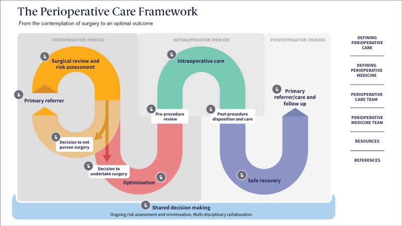 Perioperative Interactive Infographic