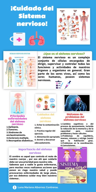 Cuidado del sistema nervioso