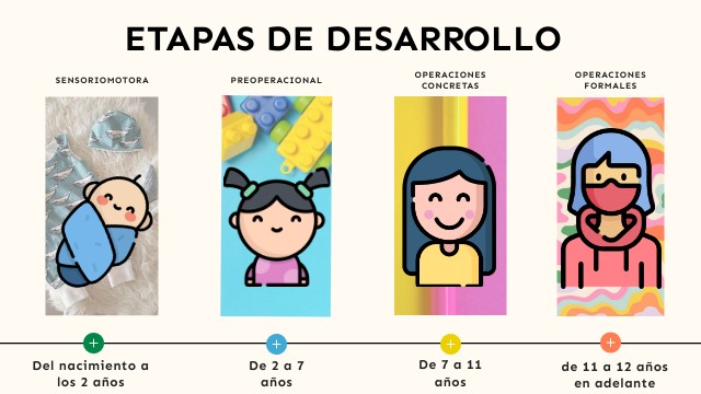 Etapas de desarrollo