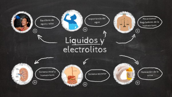Líquidos y electrolitos
