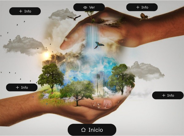 CONCIENCIA AMBIENTAL