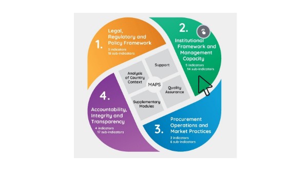 Copy - Module 2 OECD MAPS PILLAR 2