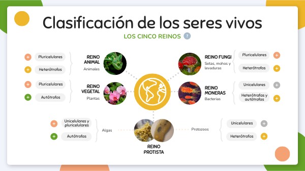 LOS 5 REINOS SERES VIVOS