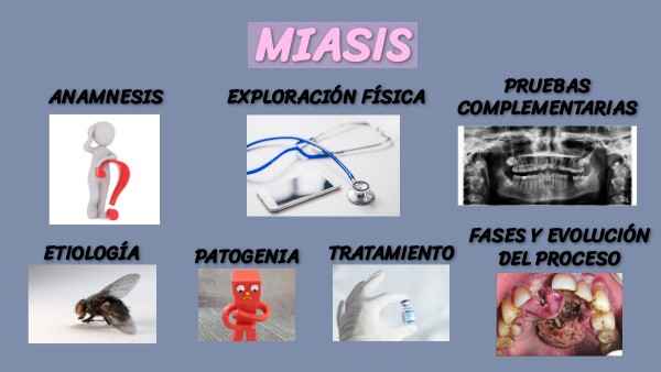 Miasis