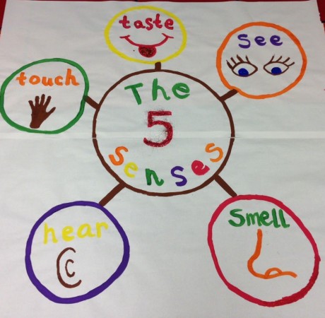 Graphic organizer - 5 senses