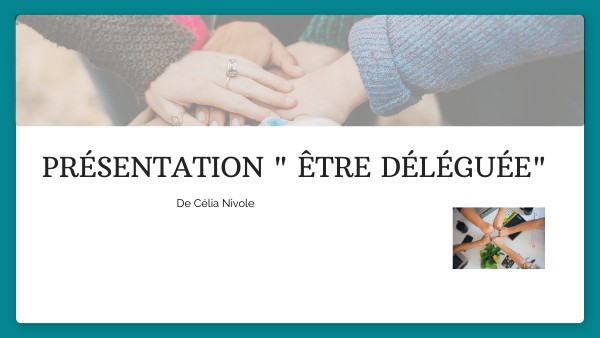 Présentation délégué