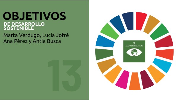 GUÍA ODS N°13