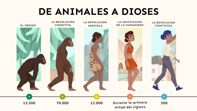 ETAPAS DE EVOLUCIÓN HUMANA