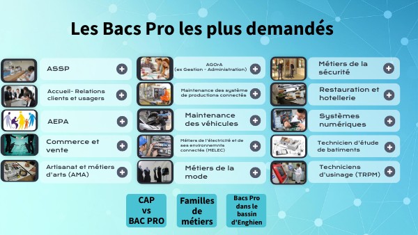 Bacs pro by christine.manuguerra on Genially