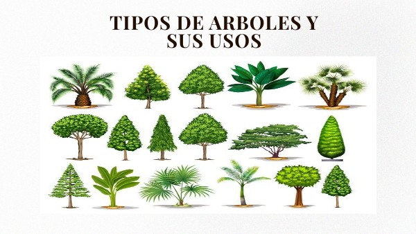 Tipos de árboles y sus usos