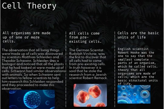 Cell Theory