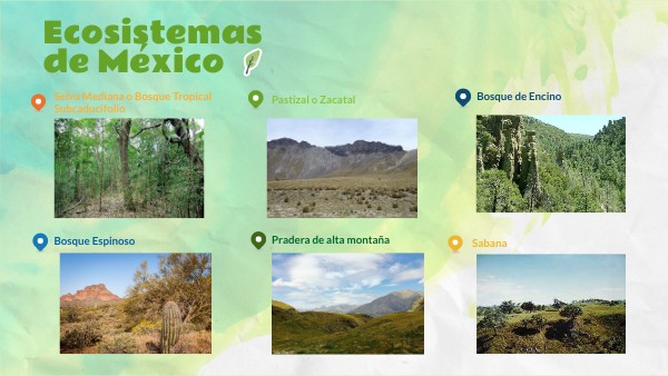 Ecosistemas de México
