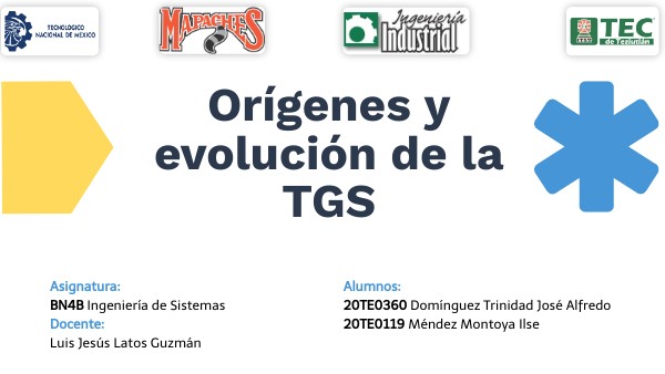 Linea del tiempo - Orígenes y evolución de la TGS