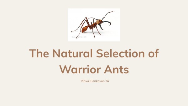 Natural Selection in Action