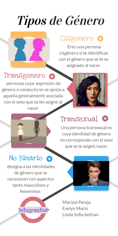 tipos de genero infografia