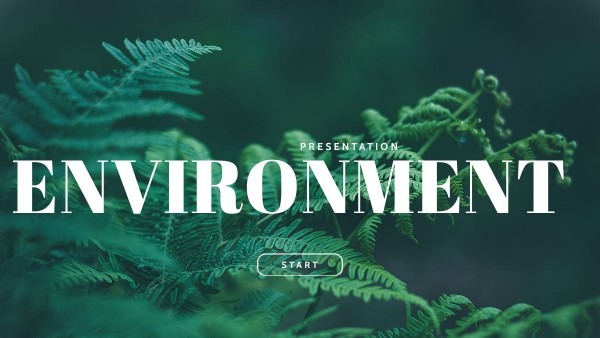 ENVIRONMENT PRESENTATION