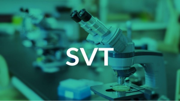 Svt