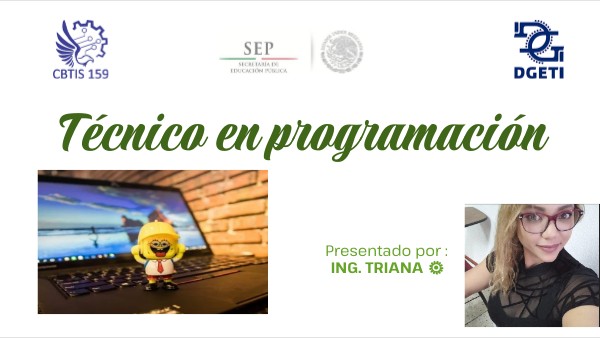 TÉCNICO EN PROGRAMACIÓN