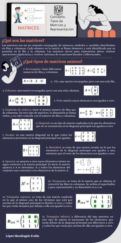 Infografía Matrices