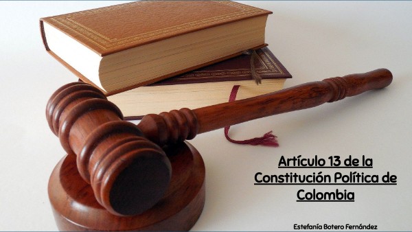 Artículo 13