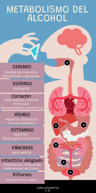 Metabolismo del Alcohol