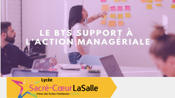 Bts Sam Débouchés | BTS SAM : support à l’action managériale, quels ...