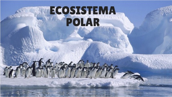 Ecosistema Polar