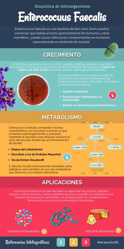 ENTEROCOCCUS FAECALIS