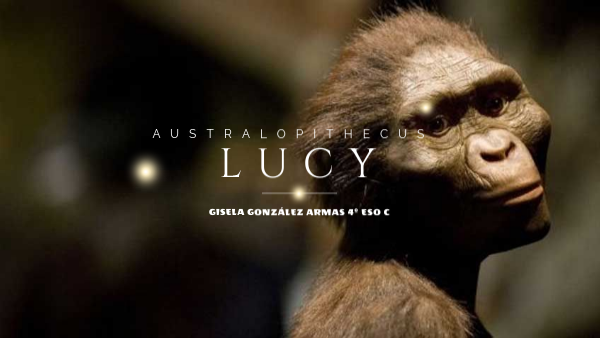 Lucy