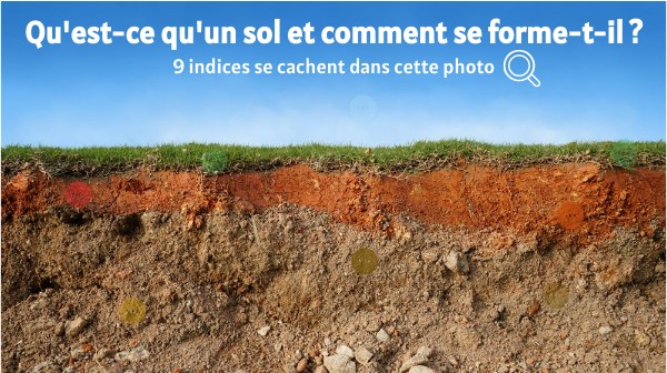 Qu'est-ce qu'un sol et comment se forme-t-il