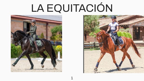 LA EQUITACION
