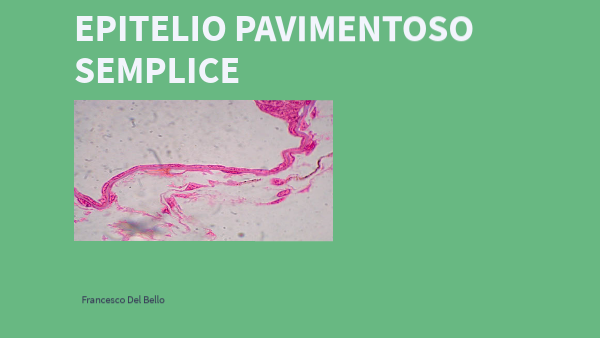 EPITELIO PAVIMENTOSO SEMPLICE