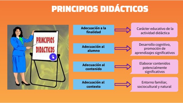 Los principios didácticos