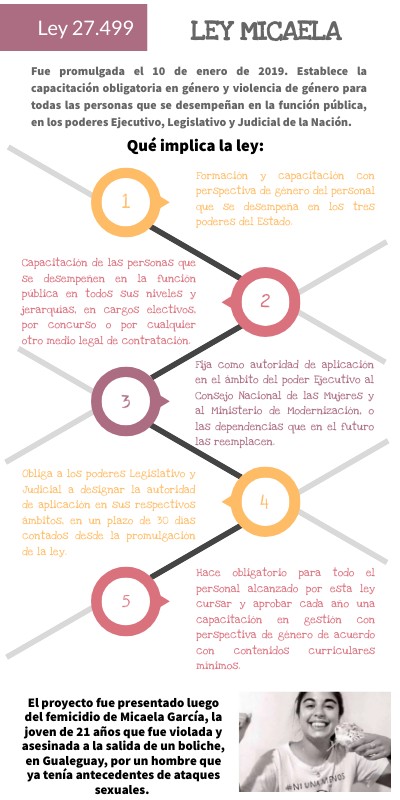 Ley Micaela