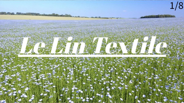 Lin Textile