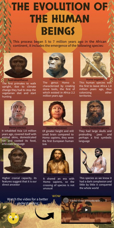 The evolution of the human beings