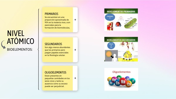 Mapa nivel Atómico y Molecular