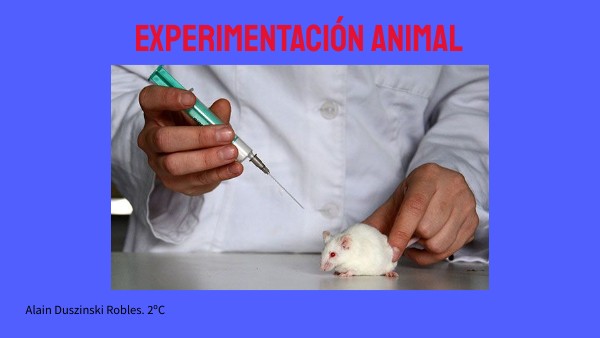 Experimentación animal