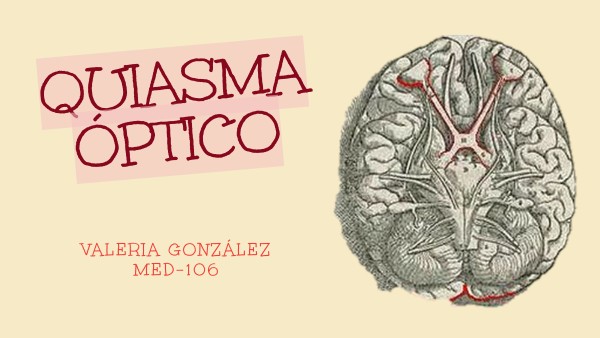 QUIASMA ÓPTICO