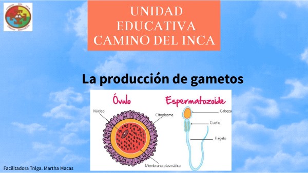 La producción de gametos