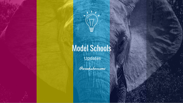 Model Schools - February 2021