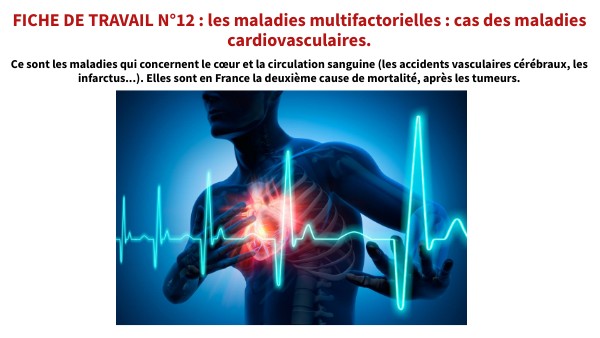 Les maladies cardiovasculaires